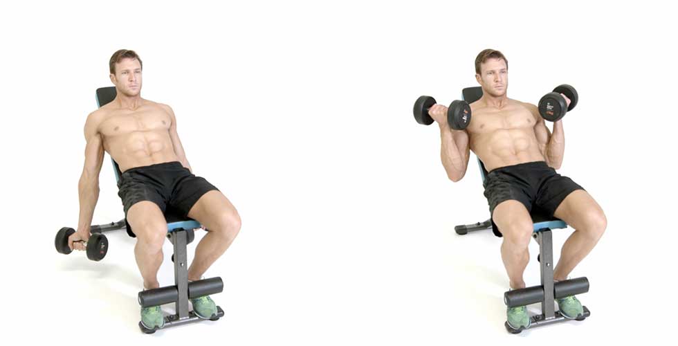 Curl-biceps-inclinado-con-mancuerna - Adelgazar en casa